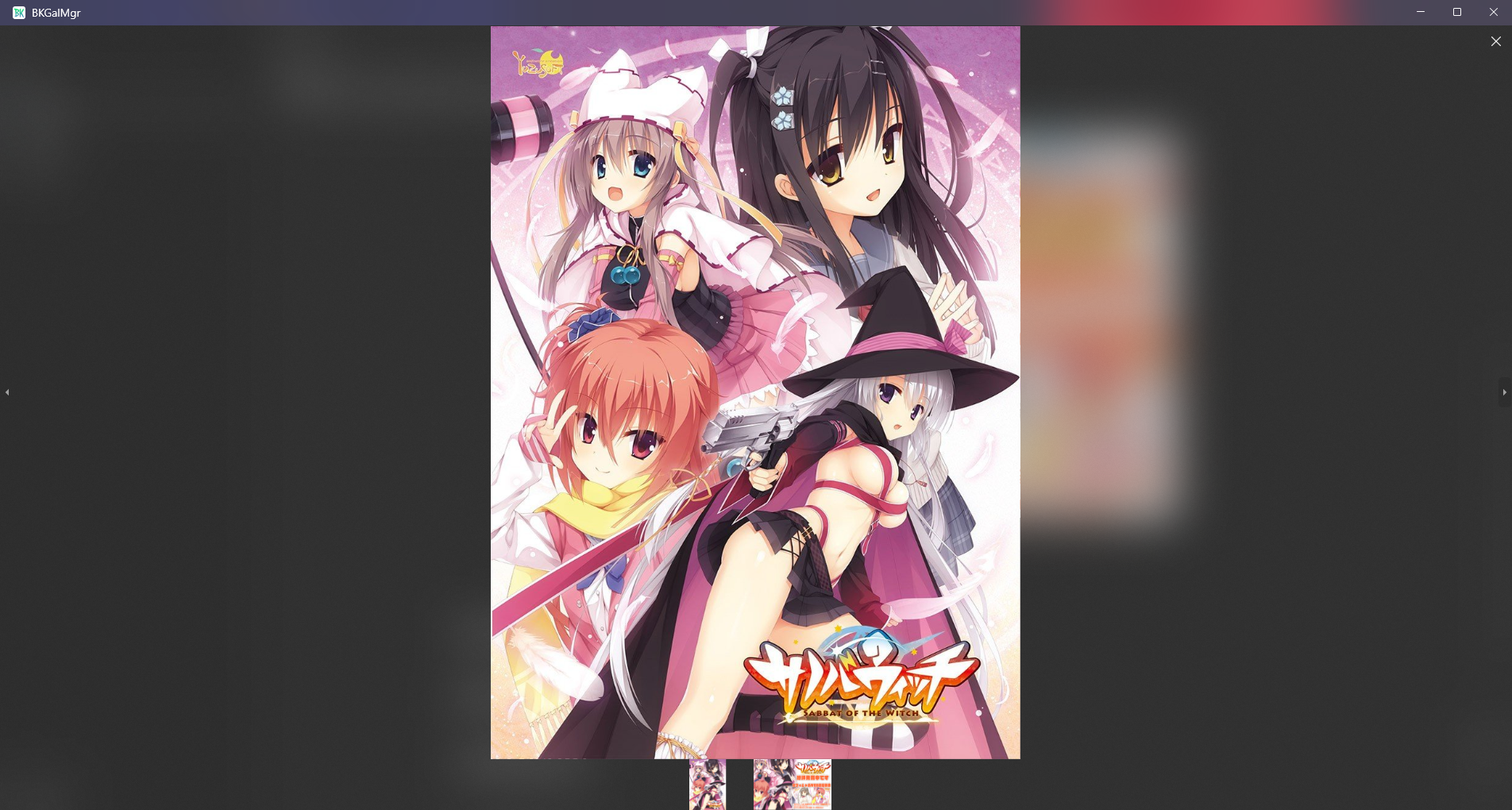 管理游戏 | BKGalMgr